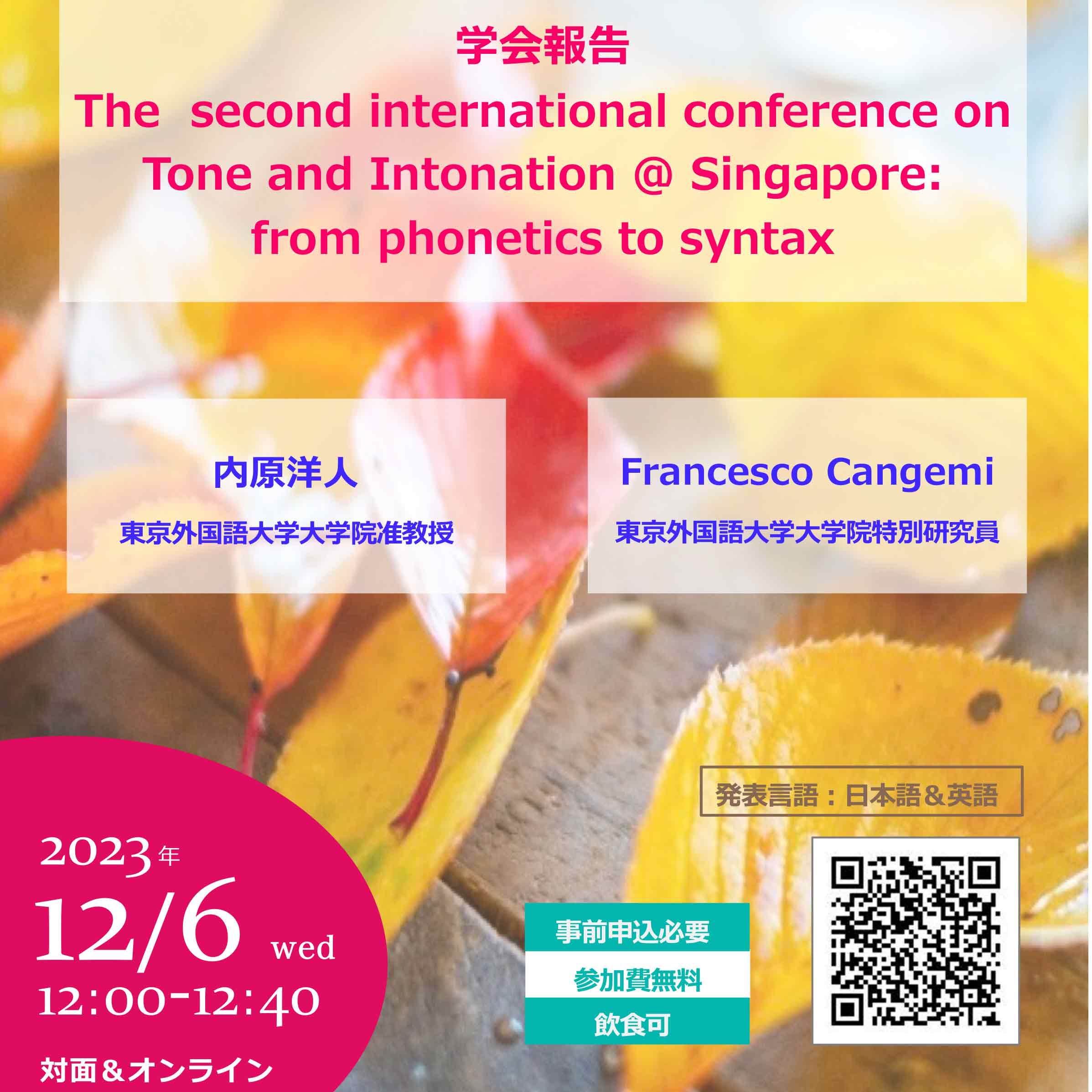 語学研究所 LUNCHEON LINGUISTICS「学会報告 The second international conference on ...